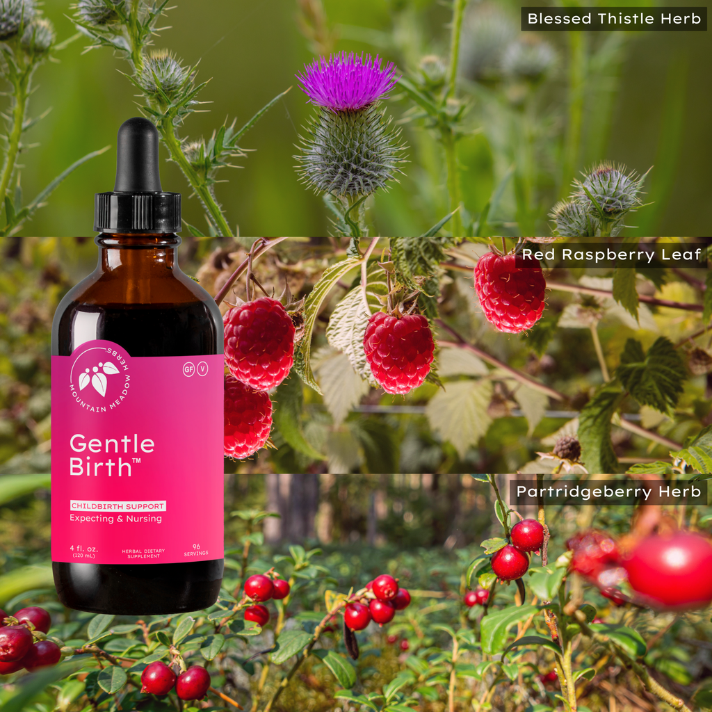 Natural Birth and Labor Prep Supplement | Gentle Birth 4oz.
