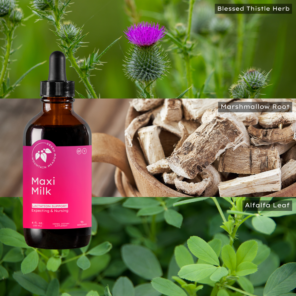 Maxi Milk Lactation Aid 4oz | Mountain Meadow Herbs