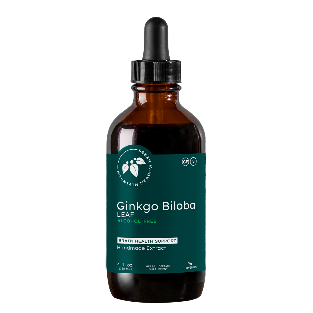 Gingko Biloba Extract | Traditional Healing | Mood Support