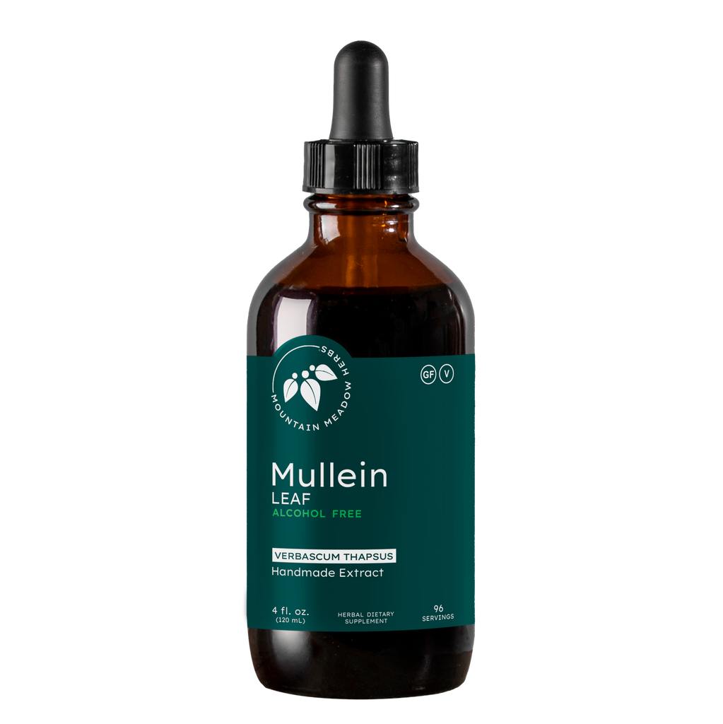 Mullein Leaf Extract (4 oz.) | www.mmherbs.com